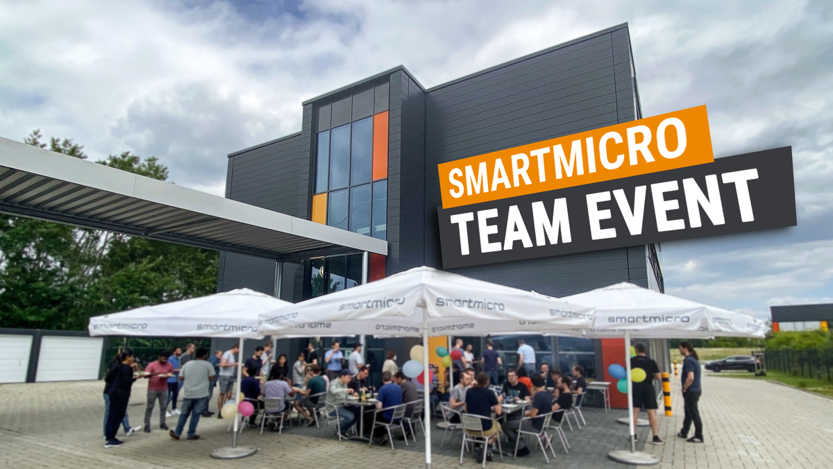 smartmicro's summer team event