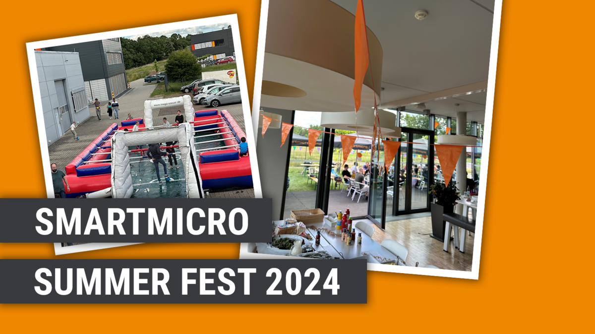 smartmicro's Summer Fest
